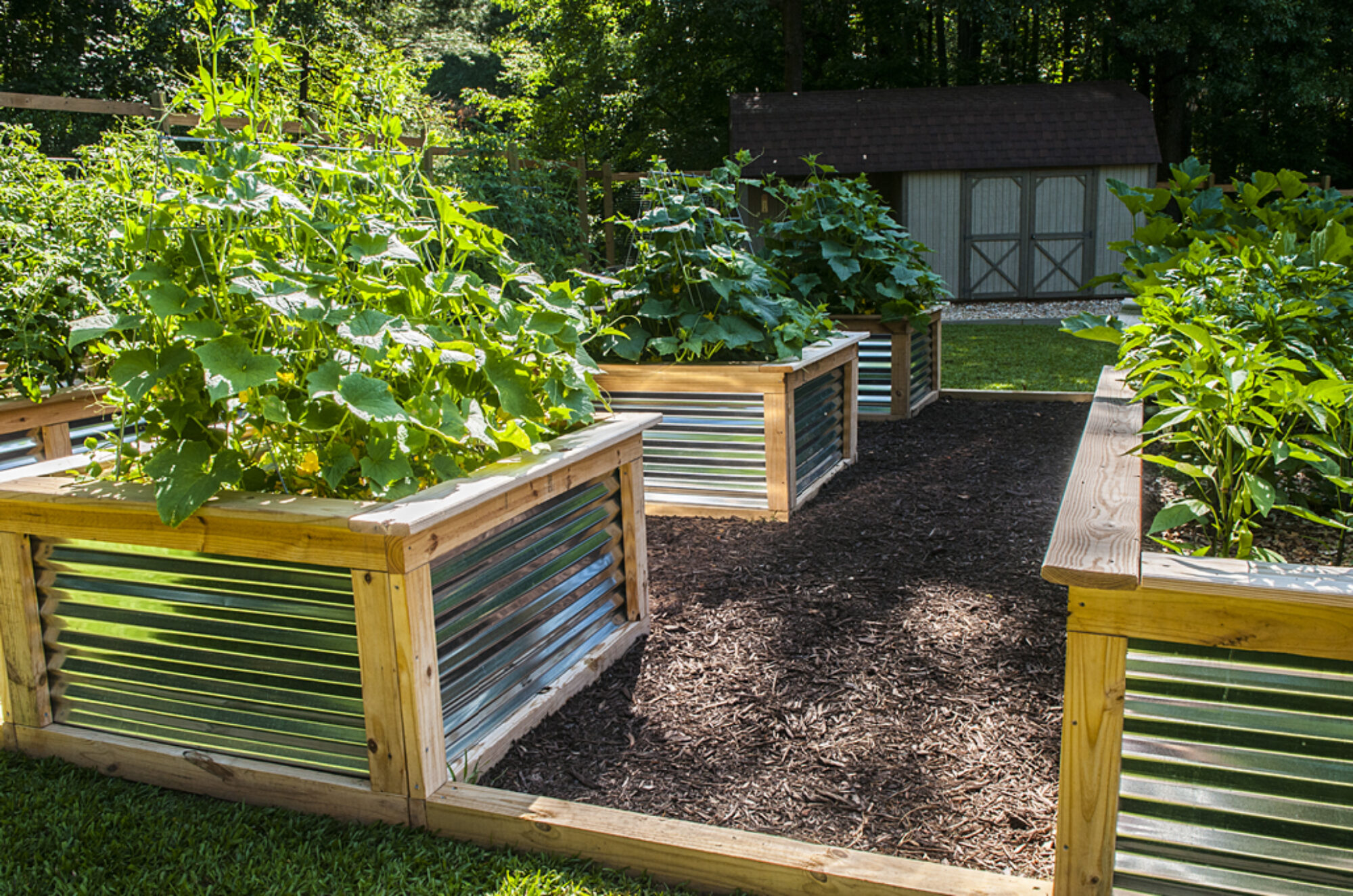 Raised Garden Beds are a great way to beatify your landscape and grow ...